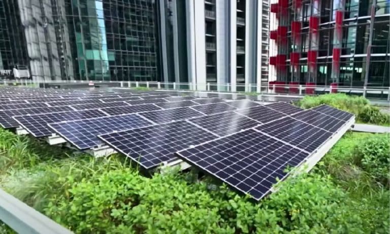 Biosolar Roofs: Combining Green Roofs and Rooftop Solar Panels for a ... Biosolar Roofs: Combining Green Roofs and Rooftop Solar Panels for a ...